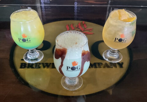 ABOUT - POG Brewing